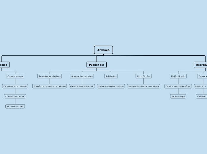 Archaea (David Perez) - Mind Map